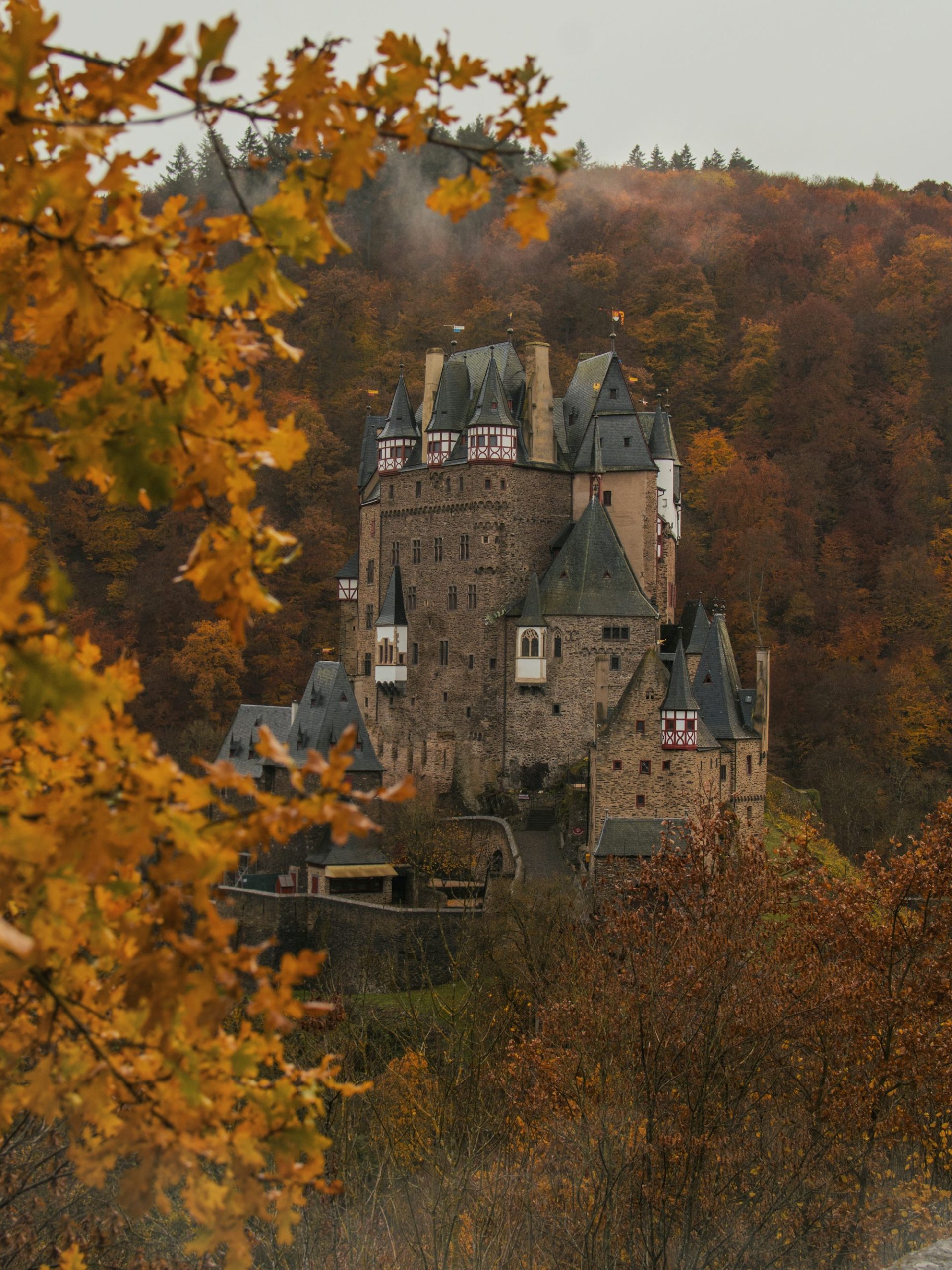 Wallpaper Brown Concrete Castle Surrounded by Trees - kazu.co.id